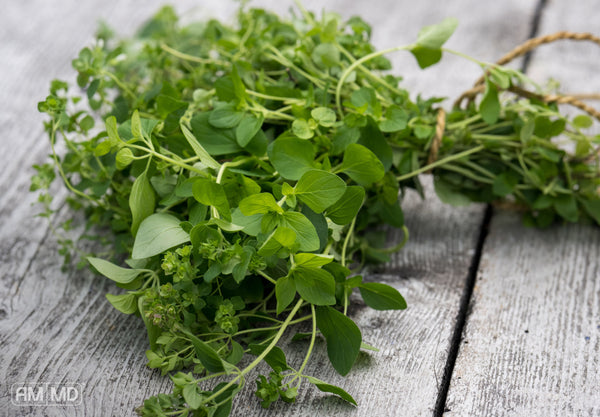 Candida Cleanse Detox Guide for Beginners – Amy Myers MD