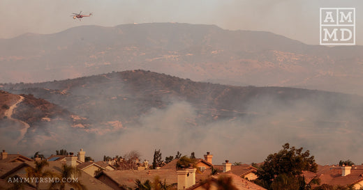 The Health Effects of Wildfire Smoke – AMMD